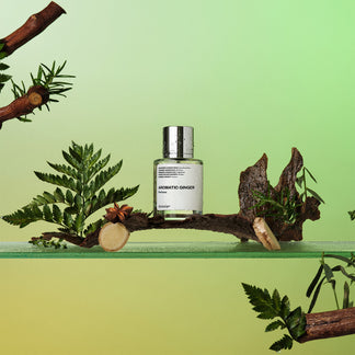 Aromatic Ginger – Dossier EU