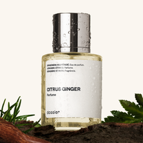 Designer Inspired Perfume: Citrus Ginger Perfume – Dossier EU