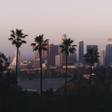 IT Factor – Dossier EU